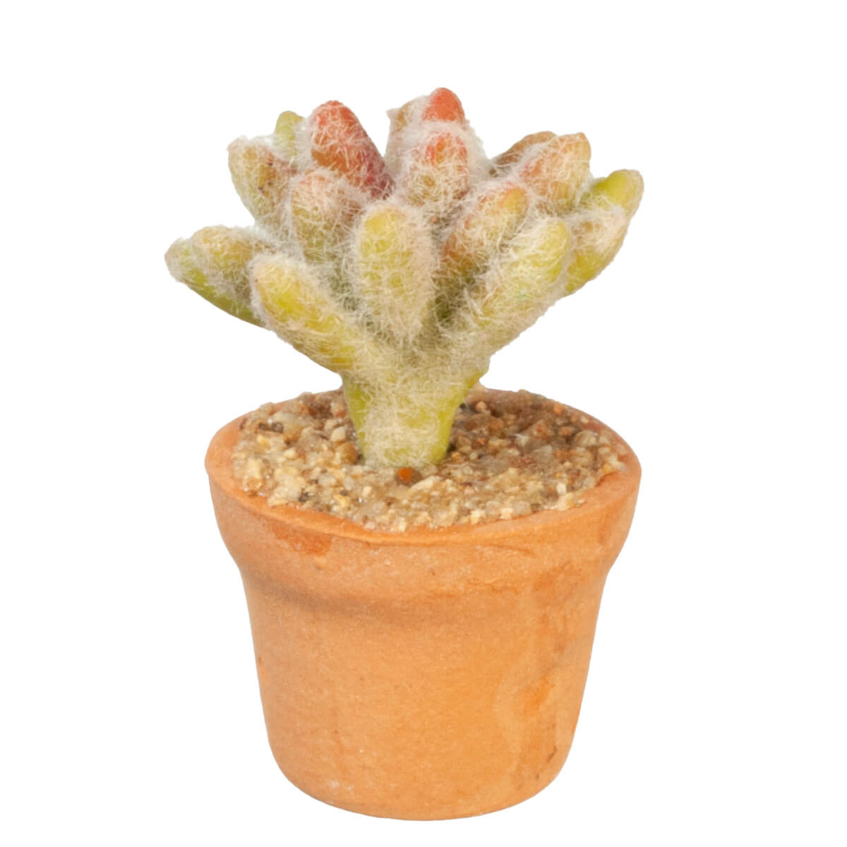 Potted Fuzzy Cactus | Mary's Dollhouse Miniature Accessories
